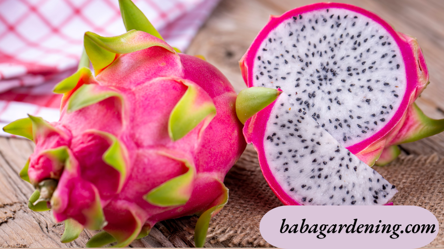 How Long Does Dragon Fruit Take to Grow: A Complete Guide
