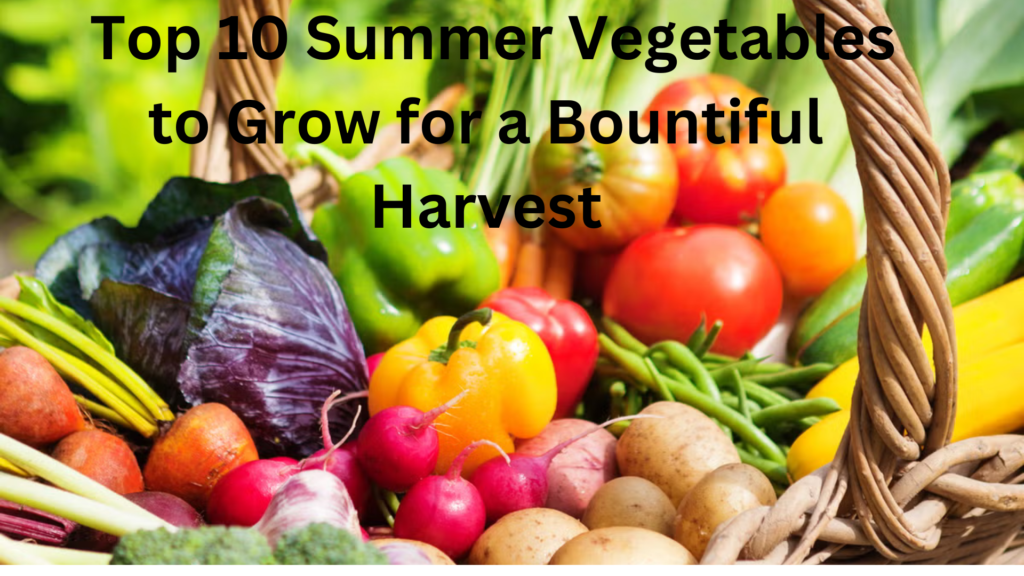 Top 10 Summer Vegetables to Grow for a Bountiful Harvest