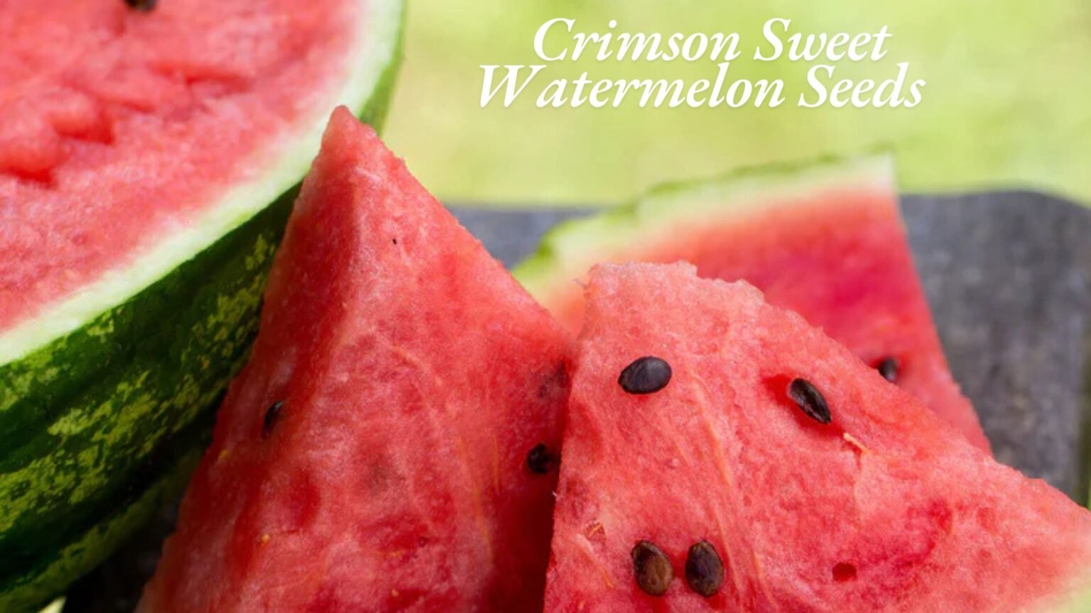 Crimson sweet watermelon growing stages from Seed to Harvest - babagardening.com